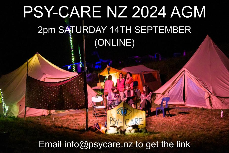 Psy-Care NZ – A harm reduction service providing care at festivals around Te Wai Pounamu